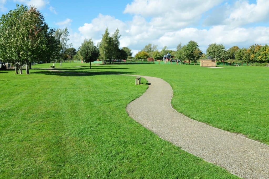 Environment Research publishes a systematic review and meta-analysis of ...